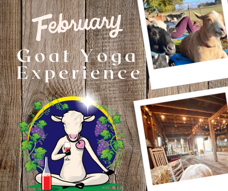Original Goat Yoga™ & Goat Happy Hour – Monroe, OR - SOLD OUT- Original ...