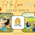 Original Goat Yoga™ & Goat Happy Hour – Monroe, OR - FALL in LOVE with ...