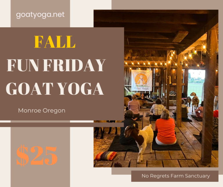 Original Goat Yoga™ & Goat Happy Hour – Monroe, OR - FALL Fun Friday ...